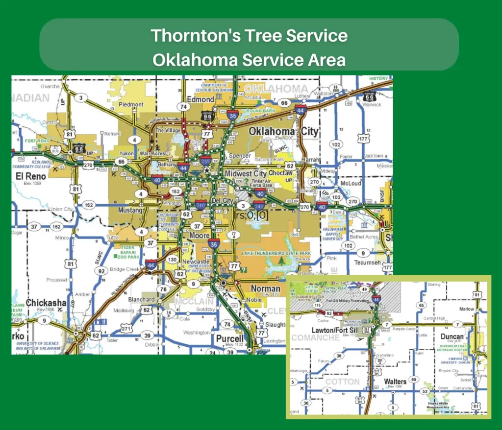 Our Service Areas in West Texas and Oklahoma City - Thornton's Tree ...
